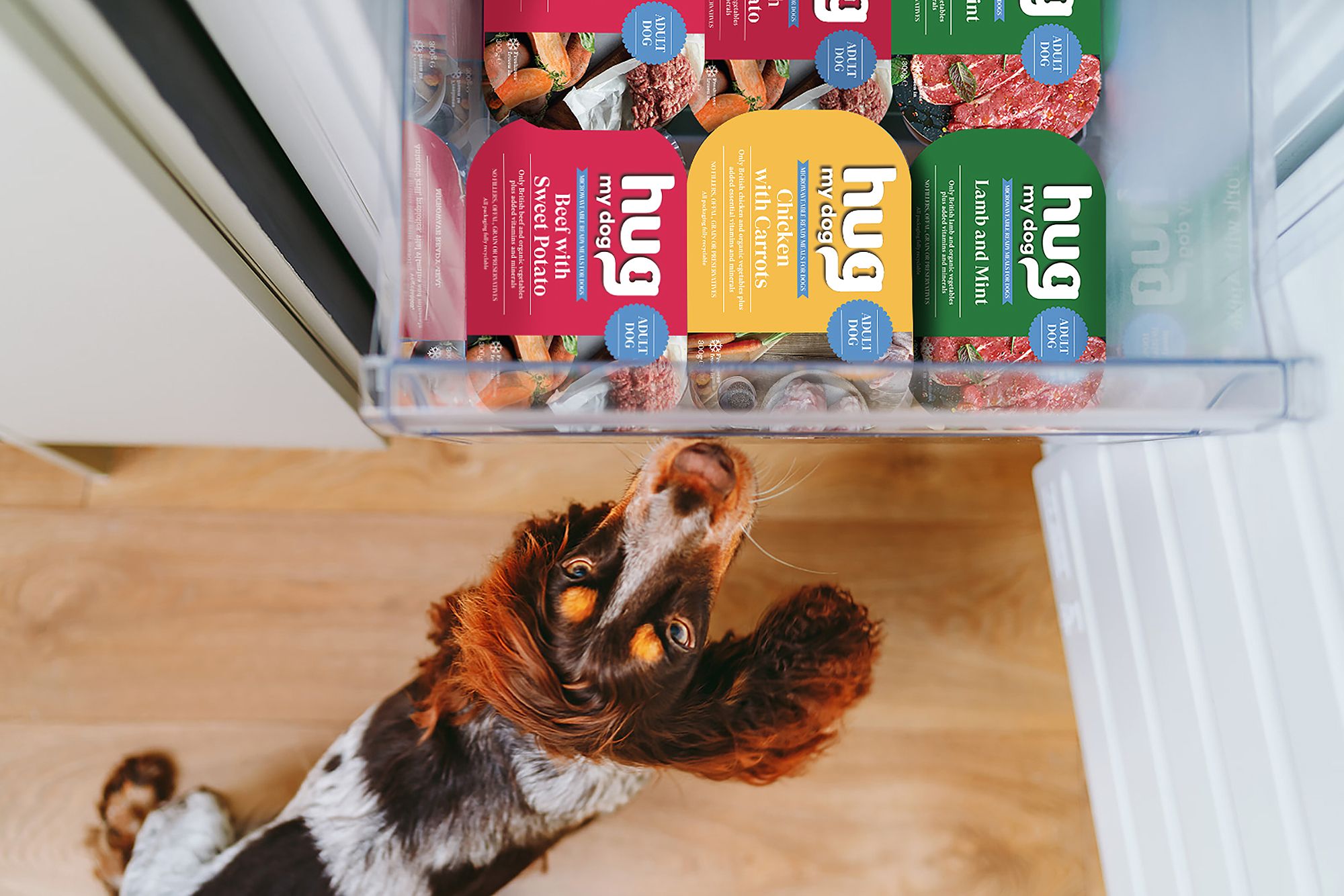 Hug Pet Food: Nurturing Brand Transformation | AD Creative